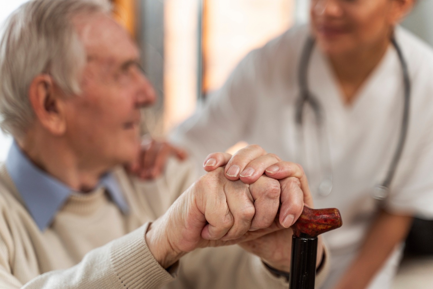 Elder Care Services: A Simple Guide for Families
